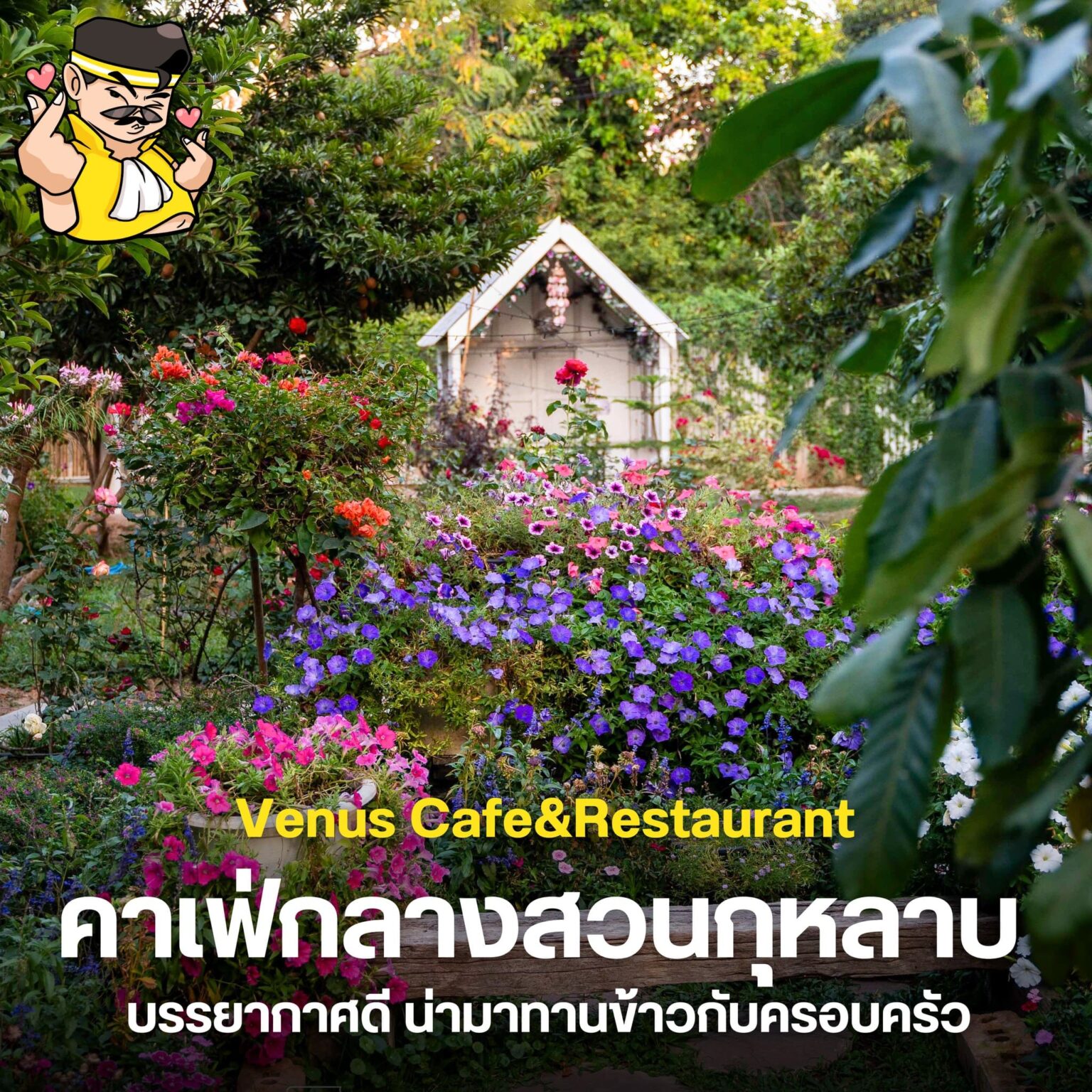 Venus Cafe&Restaurant-Khonkaen - Food Fast Fin